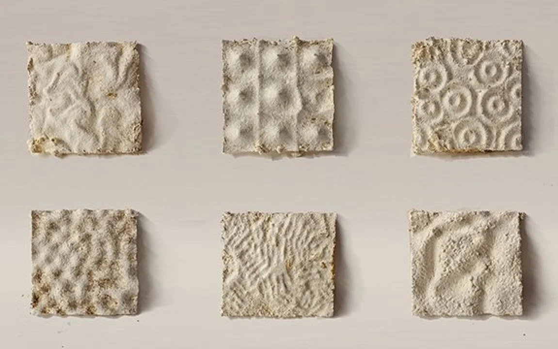 Sustainable construction design with mycelium. - Thirdroom Sustainable construction design with mycelium. - Thirdroom